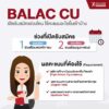 BALAC Chula เรียนอะไร จบมาทำอาชีพอะไรได้บ้าง?