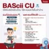 BAScii CU เรียนอะไร จบมาทำอาชีพอะไรได้บ้าง? | The Advisor