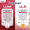 LLBel vs LL.B. นิติฯ อินเตอร์ในไทย ต่างกันยังไง ที่ไหนน่าเรียน? | The ...